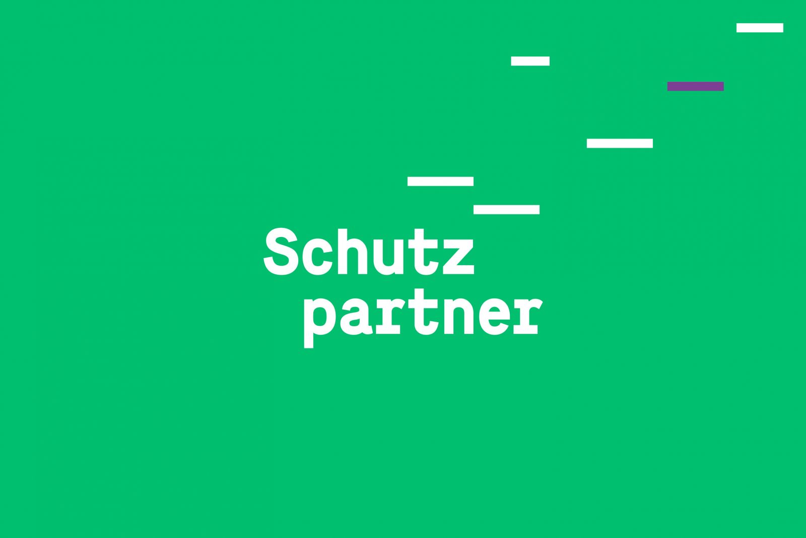 Talfrisches Projekt | Schutzpartner AG | Agentur Talfrisch